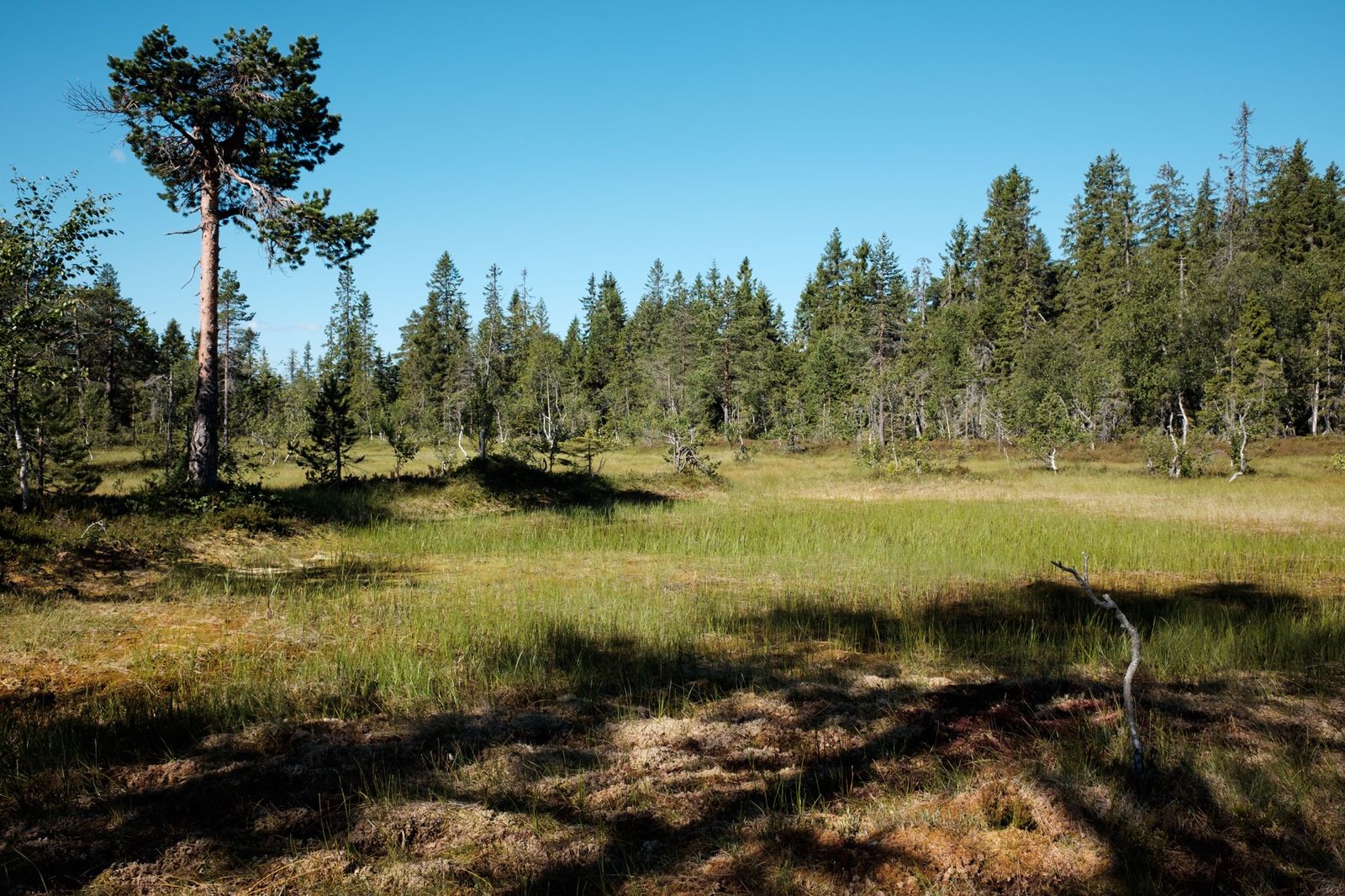 Field notes: hiking the Jotunheimstien, Norway | Alex Roddie
